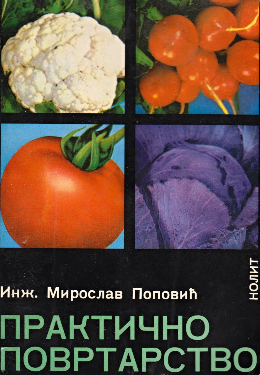 Praktično povrtarstvo