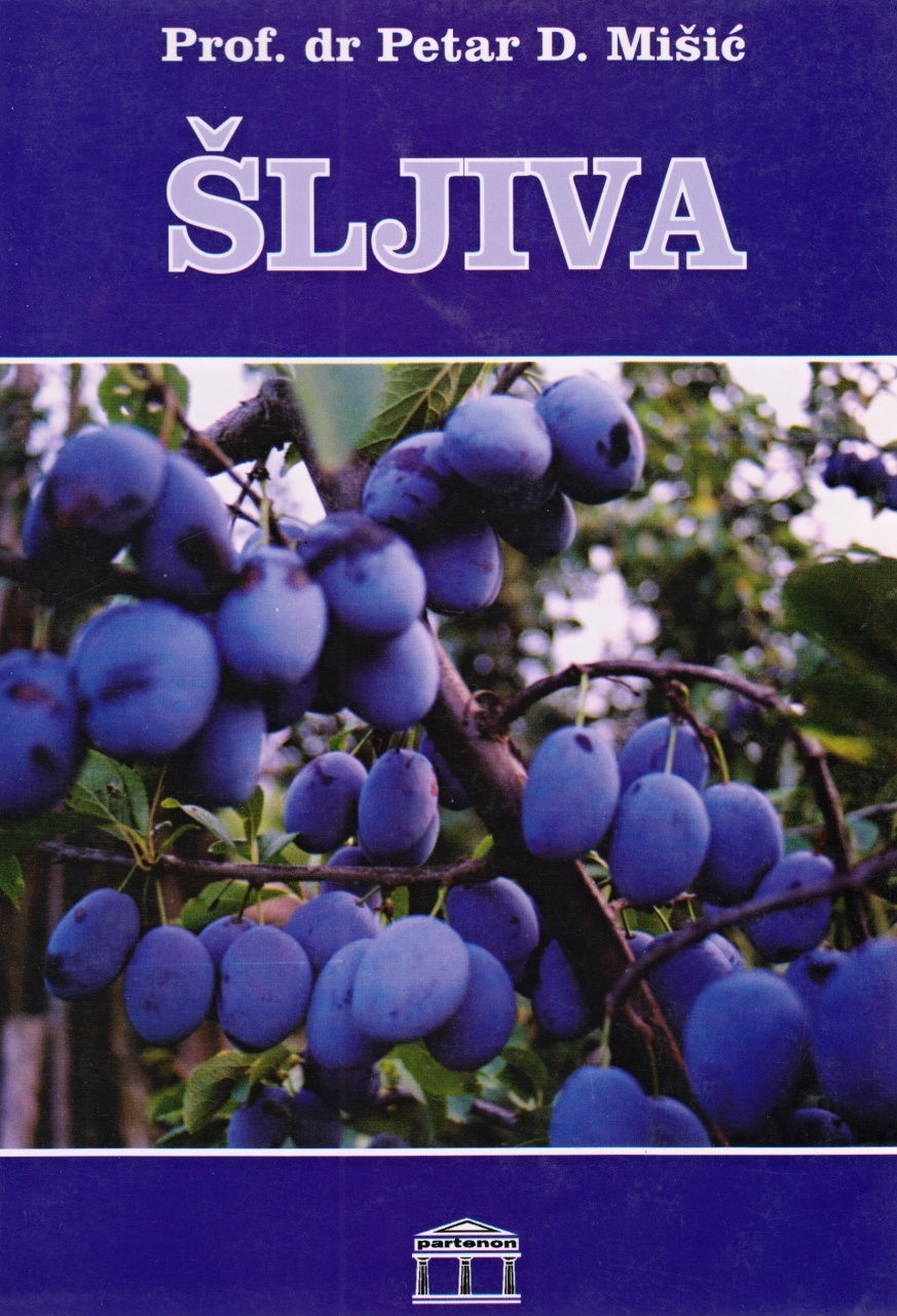 Šljiva