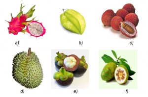 Voće u Bosni i Hercegovini | Tehnologija hrane