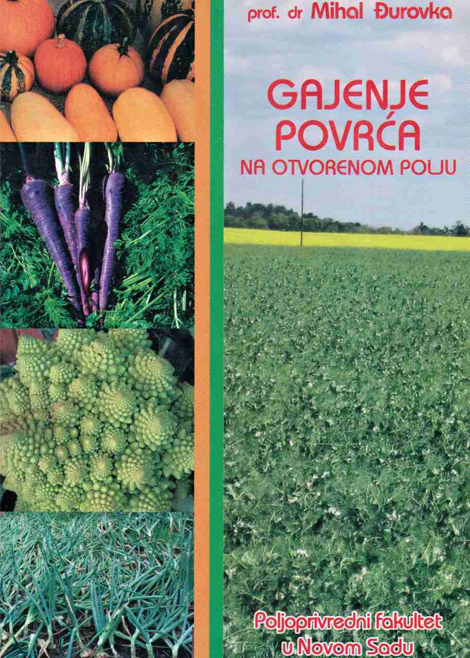 Gajenje povrća na otvorenom polju