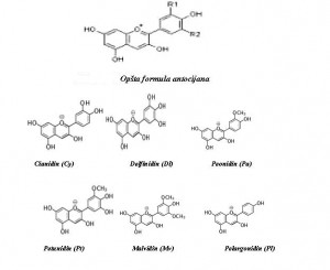Biljni pigmenti | Tehnologija hrane