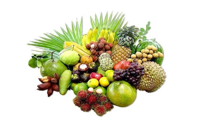 Tekstura voća i povrća | Tehnologija hrane