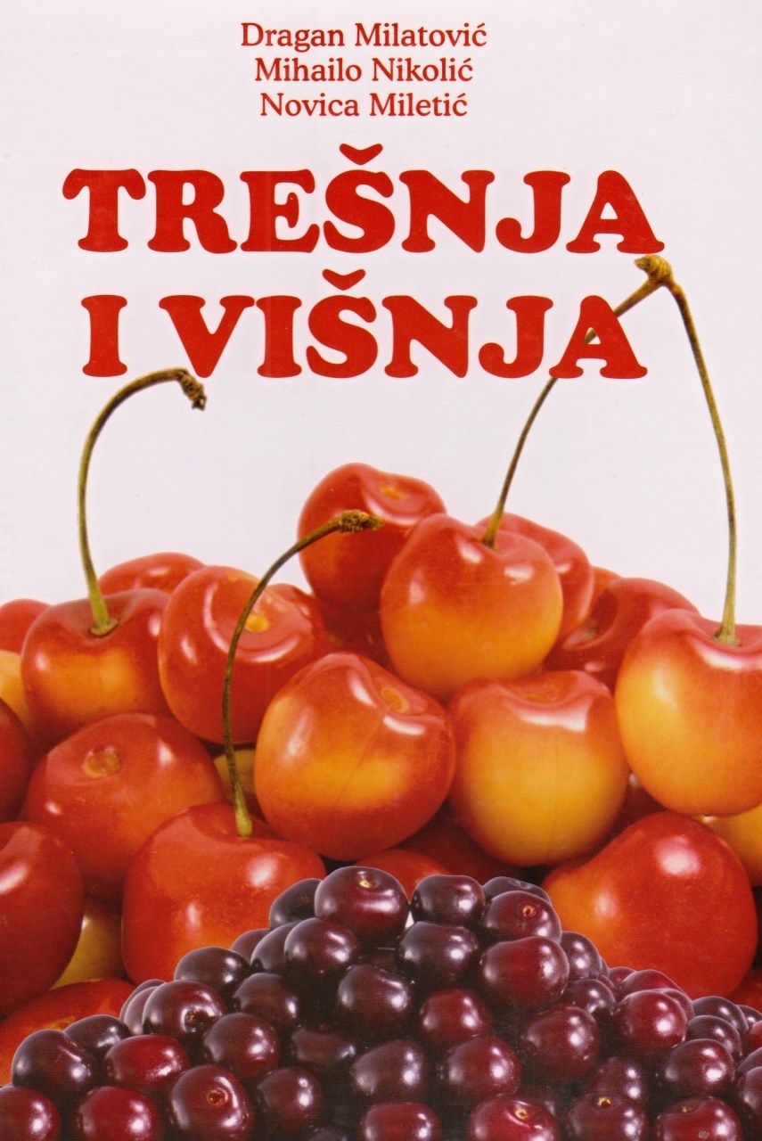 Trešnja i višnja
