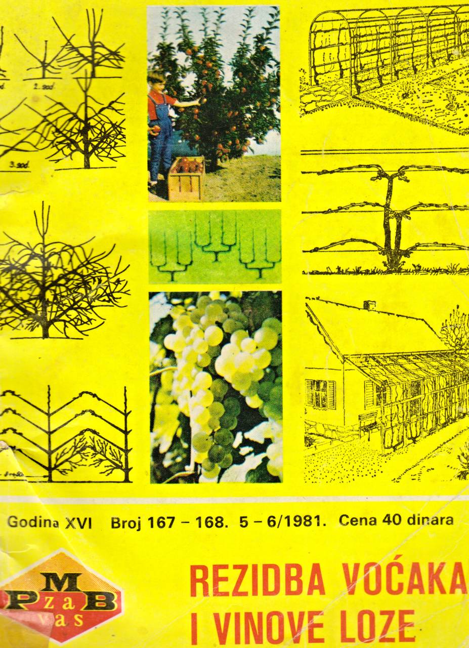 Rezidba voćaka i vinove loze