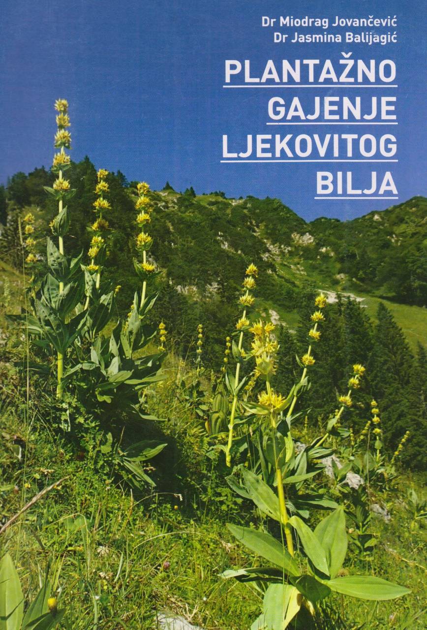 Plantažno gajenje ljekovitog bilja